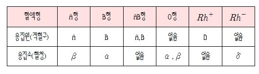 §수능 생물인강 공부의신§ 스카이에듀 최정윤 생물1 인강 개념정리 04 순환 5 혈액의 응집 반응과 혈액형 네이버 블로그