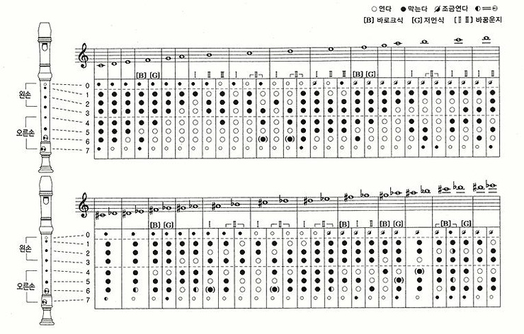 [음악] 리코더 운지법 네이버 블로그
