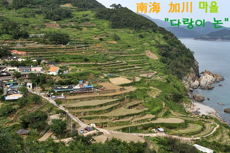 남해여행 남해 가천마을 다랑이 논다랭이논 산과 바다가 어우러진 천해의 절경 네이버 블로그