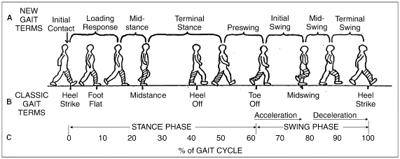 보행분석gait Analysis 네이버 블로그