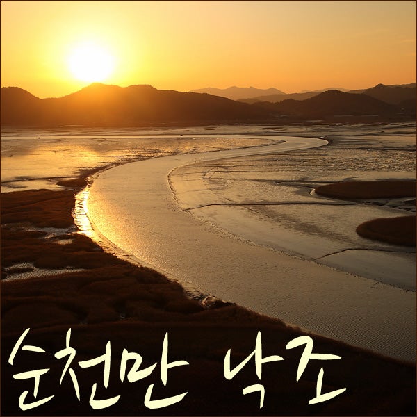 순천여행 순천만자연생태공원 용산전망대 일몰 네이버 블로그