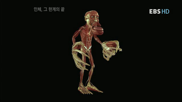 Ebs 인체 그 한계의 끝 촉각의 민감성에 따라 인체를 표현한다면 네이버 블로그