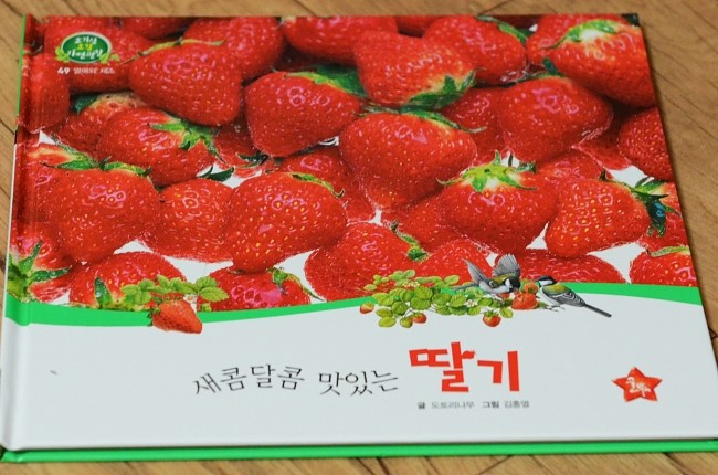 글뿌리 호기심 오감 자연관찰 새콤달콤 맛있는 딸기체험과 독서로 시작된 딸기사랑이 미술놀이로 이어진 즐거운 시간깨소금으로