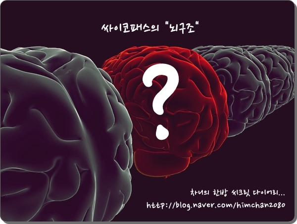 반사회적 인격장애 검사 사이코패스 뇌구조가 일반인과 다른점 네이버 블로그
