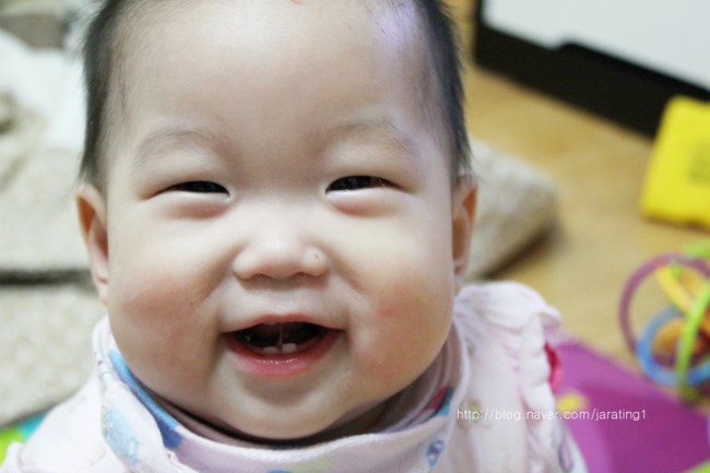생후 8개월 아기첫니아기 이나는 시기아기 이나는 순서아기치아관리유아칫솔 네이버 블로그