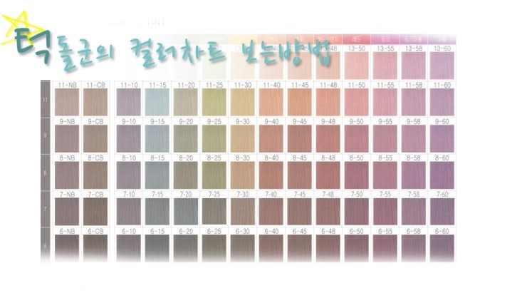 머리염색 미용실 컬러차트 보는 방법 컬러차트 미용실 머리염색 컬러 네이버 블로그