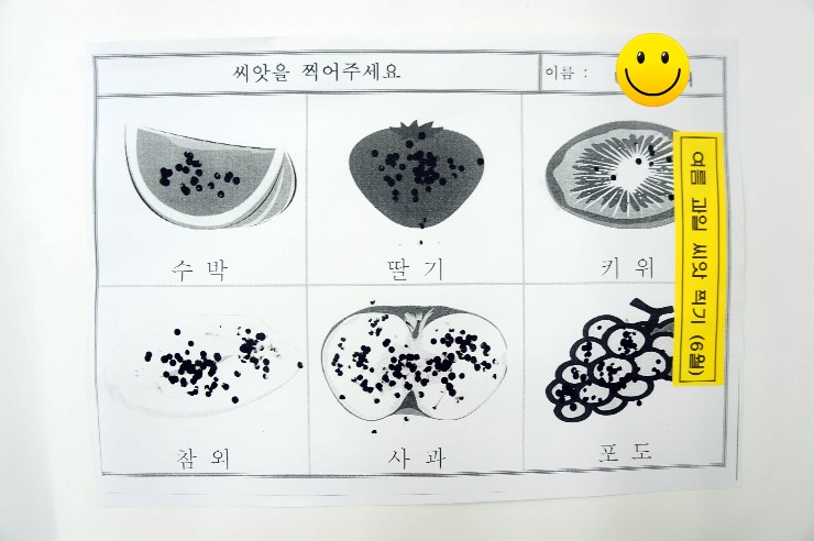 유아활동지 5월 활동지 영어활동 여름과일 씨앗 찍기 네이버 블로그