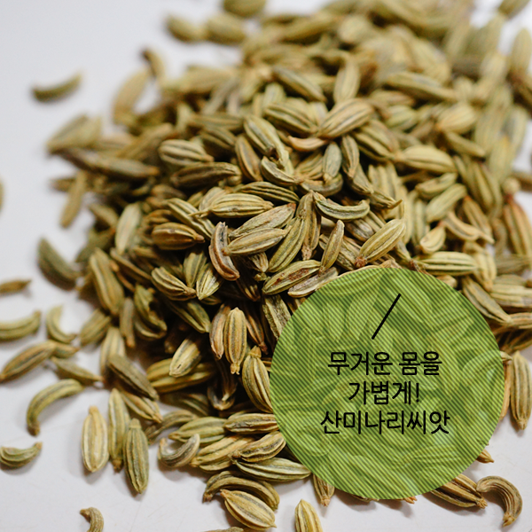 산미나리 씨앗 후기 향기 좋은 산미나리씨앗 효능 And 먹는 법 네이버 블로그