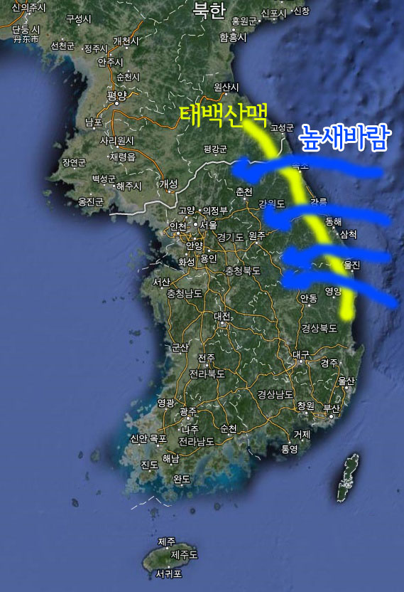 바람의 종류 높새바람 마파람 하늬바람 된바람의 뜻은 네이버 블로그