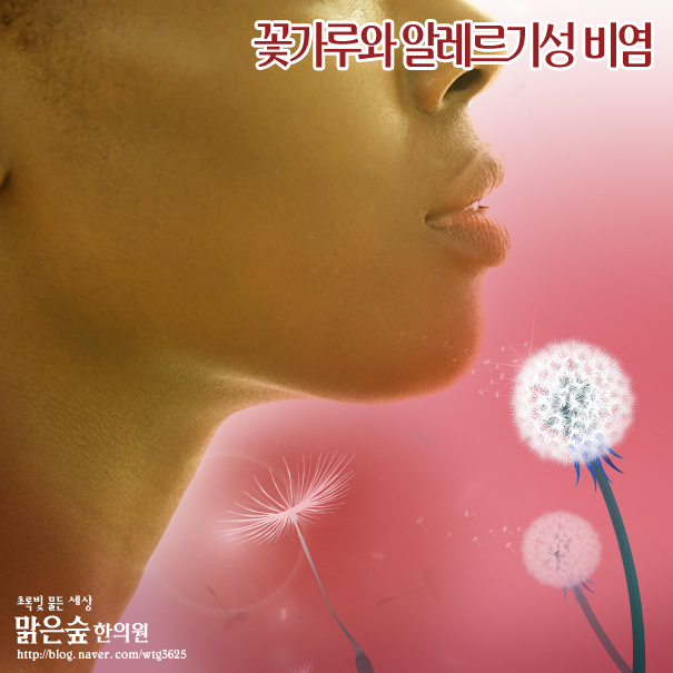봄철 꽃가루 알러지 증상 알레르기성비염치료하는법 네이버 블로그