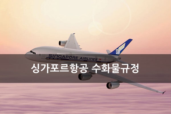 싱가폴의 대표항공 싱가포르항공의 수화물 규정 기내반입 캐리어와 무료 수화물 기준 네이버 블로그