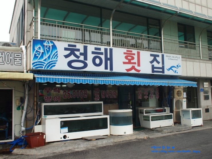 파인스톤cc 맛집 한진포구 청해횟집 네이버 블로그