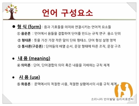 언어발달 언어의 구성요소 부산 언어치료 네이버 블로그