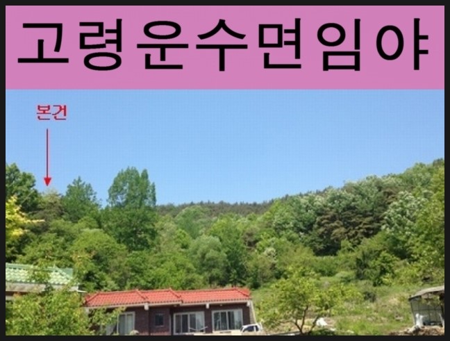 고령부동산경매 ★ 경상북도 고령군 운수면 화암리 산32번지 임야논밭전답농지대구지방법원서부지원경매 네이버 블로그