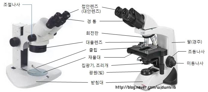 과학실험대학실험 현미경의 구조 및 사용법과 효모관찰 실험 네이버 블로그