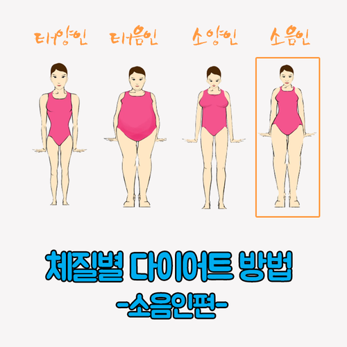 사상 체질 자가 진단하기 사상 체질별 특징 알아보기 소음인 다이어트 방법 네이버 블로그