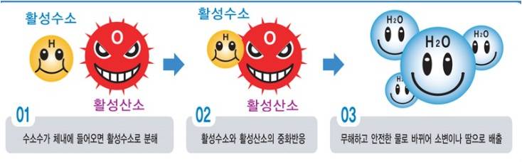 활성산소는 무엇인가 활성산소 제거 방법 1탄 수소수 네이버 블로그