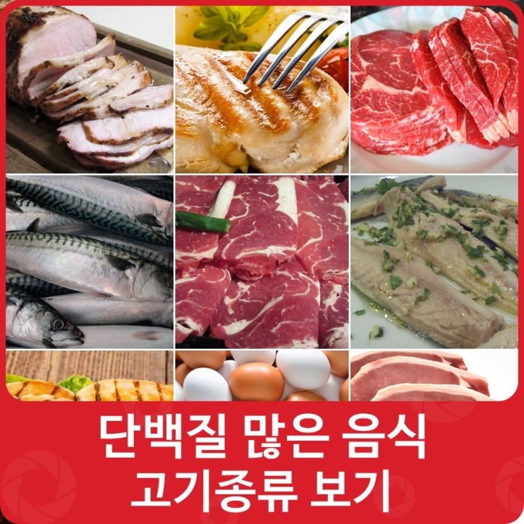단백질 많은 음식 고기종류 파헤치기 네이버 블로그