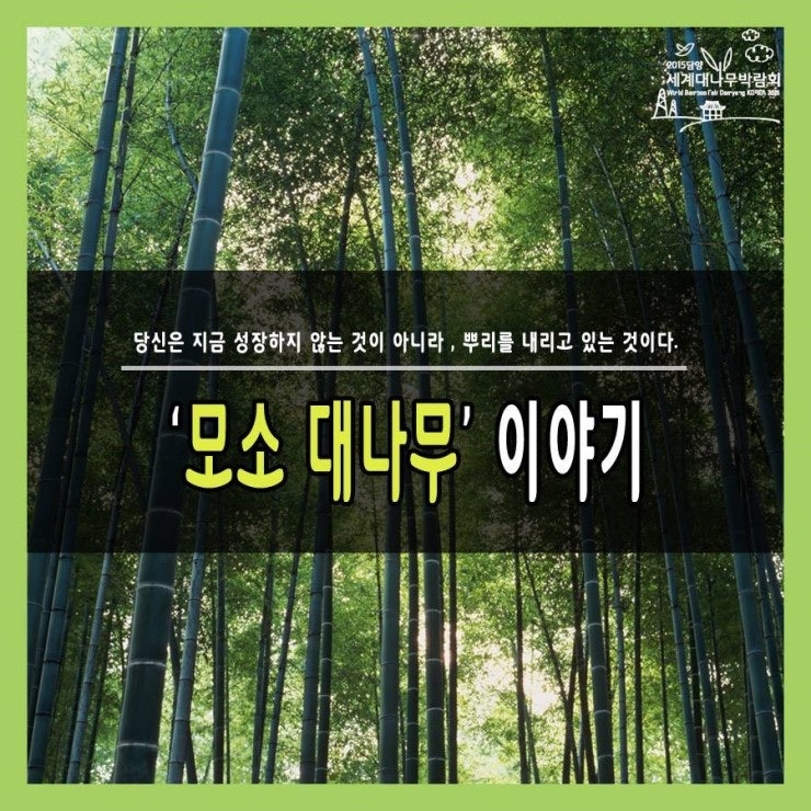모소 대나무 이야기 들어보실래요 네이버 블로그