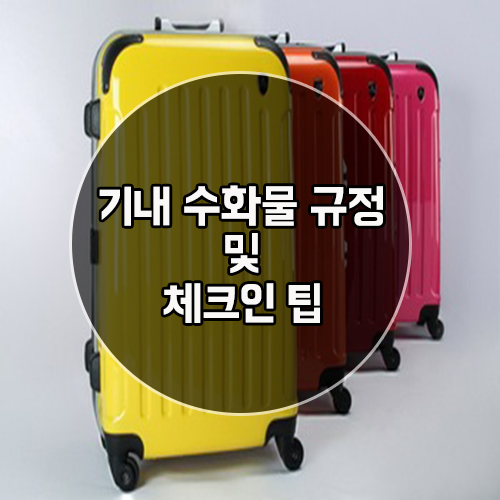 에어프랑스라이언에어이지젯 기내수화물 규정 및 체크인 팁 네이버 블로그