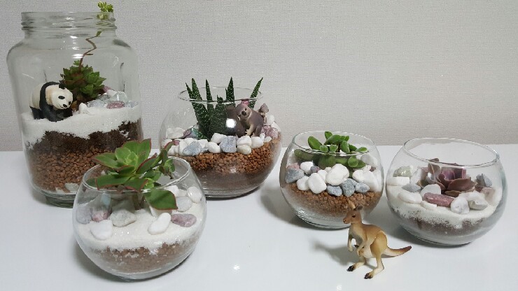 테라리움만들기 테라리움diy재활용테라리움만들기다육식물테라리움미니정원인테리어다이소테라리움 네이버 블로그