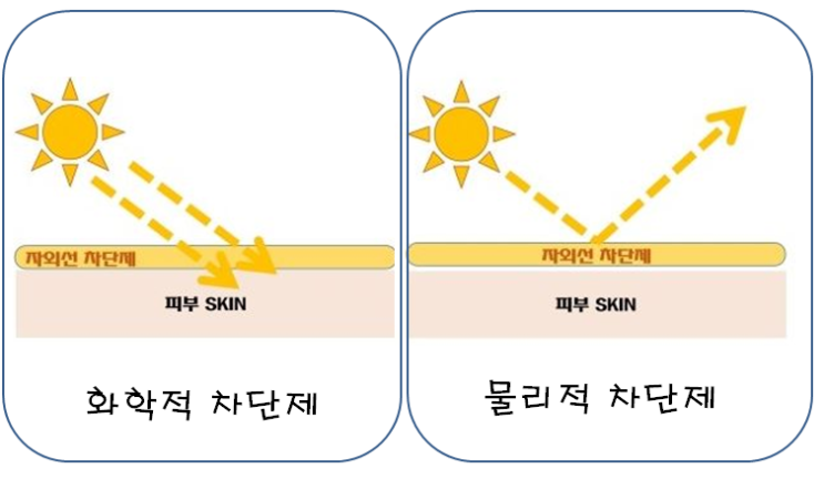 자외선차단제의 종류 제대로 알고 쓰자 네이버 블로그