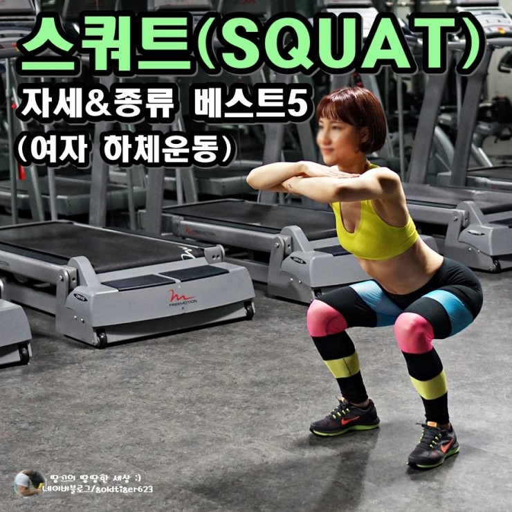 여자 스쿼트 자세 종류 베스트5 여자 허벅지운동 하체운동 다리운동 Squat 네이버 블로그
