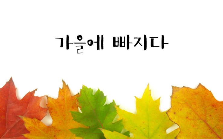 Ppt 템플릿 단풍 이미지를 활용한 가을 Ppt 네이버 블로그