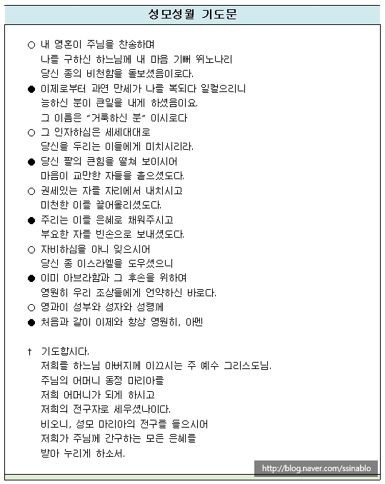 성모성월 기도문~ 네이버 블로그