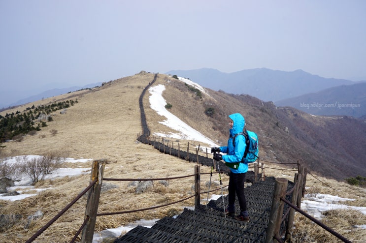 충북 단양 소백산 등산 어의곡 코스 비로봉정상까지 최단코스 네이버 블로그