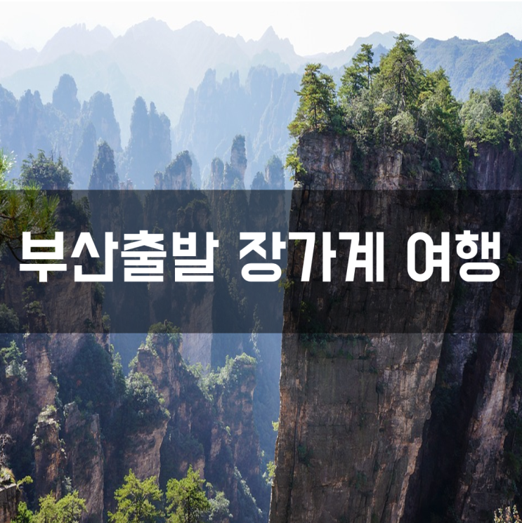 부산출발 장가계 패키지 여행 찾는사람 여기여기 모여라 네이버 블로그
