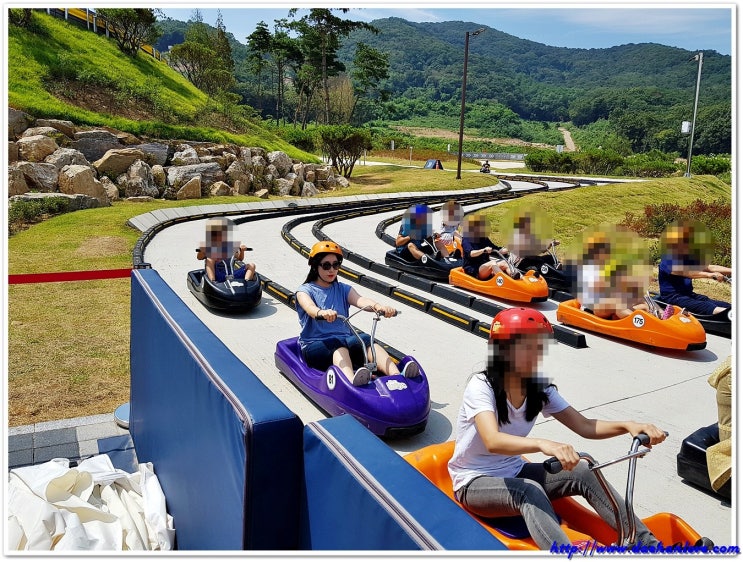 강화도 여행 강화 루지 씨사이드리조트 루지 리얼 체험후기 네이버 블로그