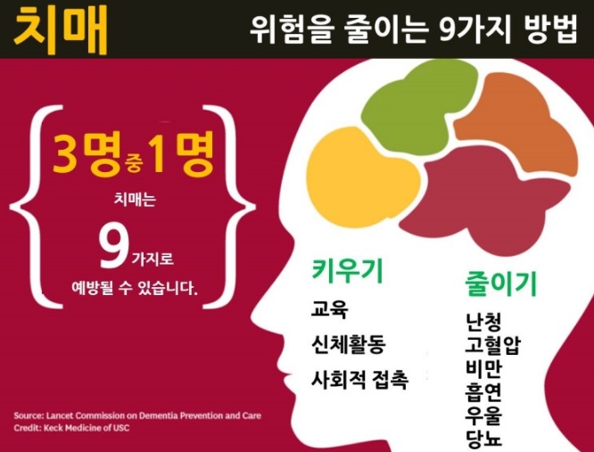생애 주기별 치매 예방 절차 네이버 블로그
