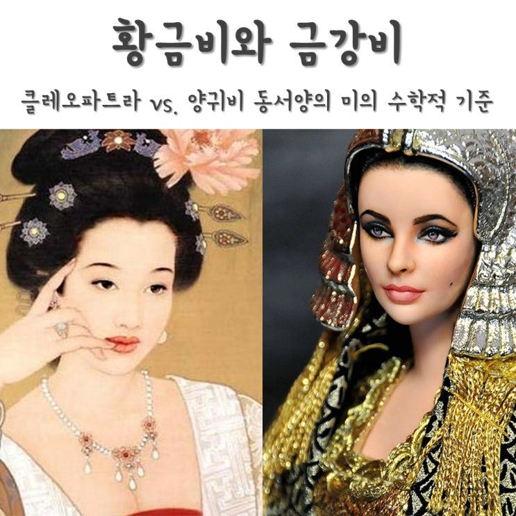 황금비와 금강비 양귀비 Vs 클레오파트라 동서양의 미의 수학적 기준 네이버 블로그