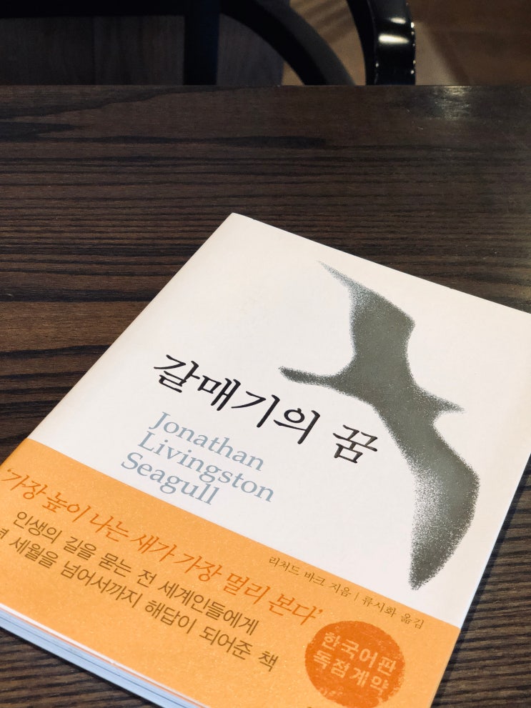 북 리뷰 갈매기의 꿈 리처드 바크 가장 높이 나는 새가 가장 멀리 본다 네이버 블로그
