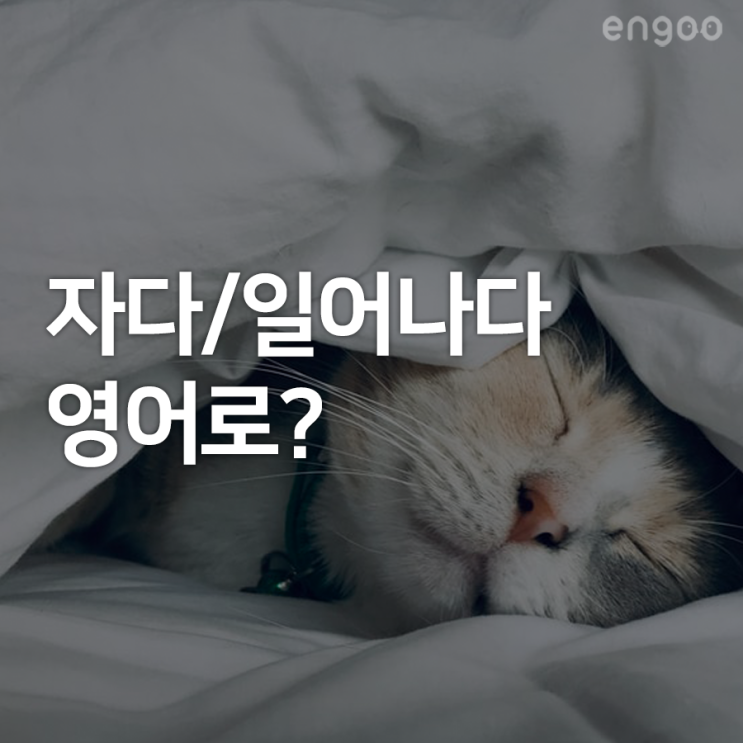 영어스피킹 자다일어나다 영어로 색다르게 말하기 네이버 블로그