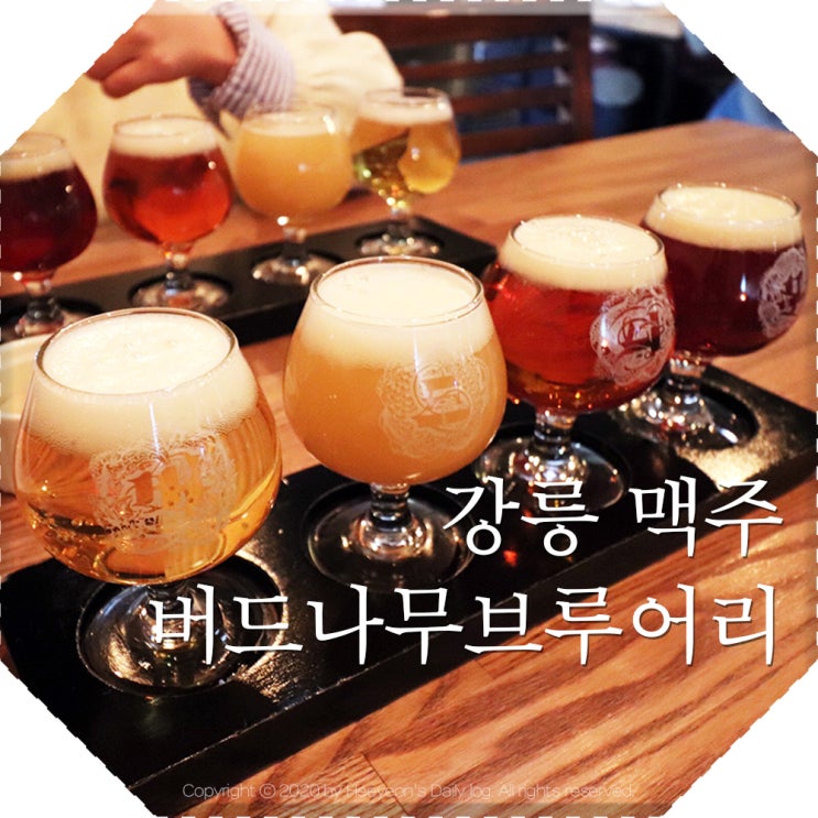 강릉 버드나무 브루어리 분위기 좋은 수제맥주 양조장 네이버 블로그
