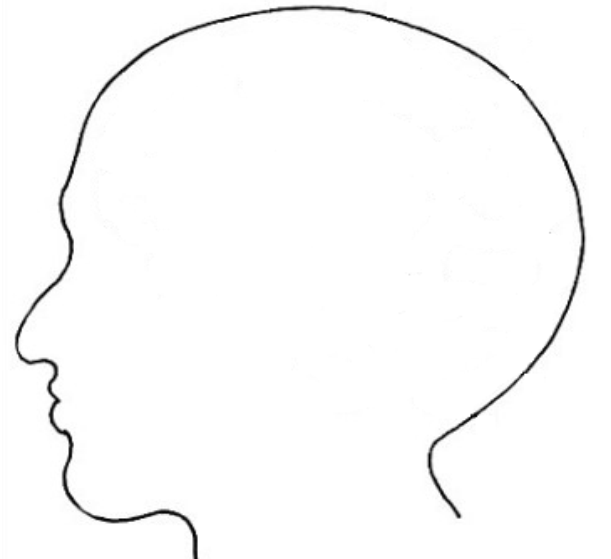 모의수업 역사교육연구회 개항 시기 계층의 뇌구조도 그리기 과정안 및 학습자료 네이버 블로그